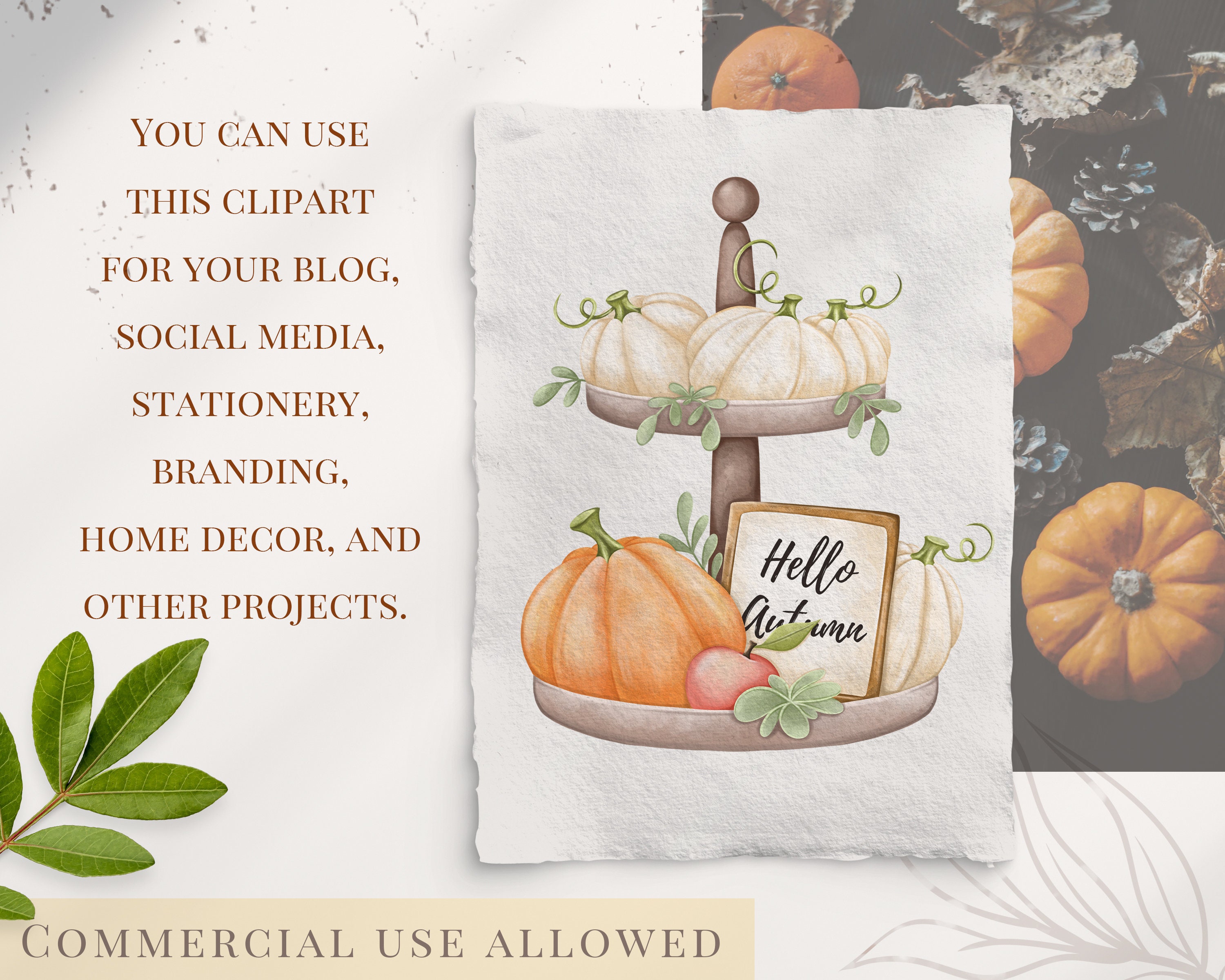 Pumpkin Clipart Fall Clipart Thanksgiving Day Clipart - Etsy