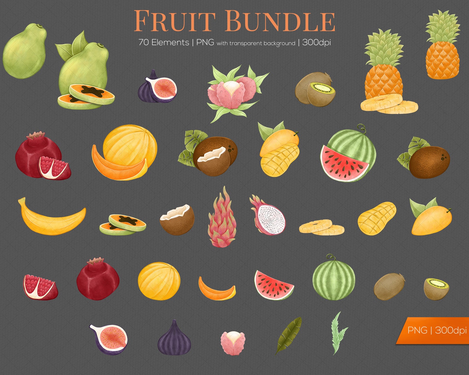 Exotic fruit clipart bundle Fruit clipart bundle Tropical | Etsy