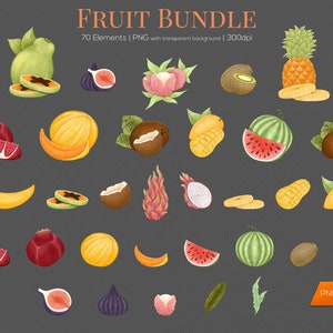 Exotic Fruit Clipart Bundle | Fruit Clipart Bundle | Tropical Clipart ...