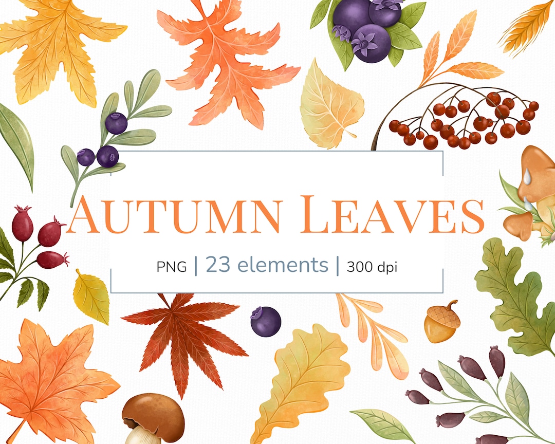 Autumn Leaves Clipart | Fall Leaves Clipart | Autumn Clipart | Cute ...