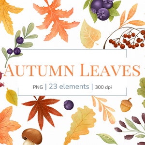 Autumn Leaves Clipart | Fall Leaves Clipart | Autumn Clipart | Cute ...