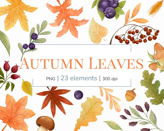 Autumn Leaves Clipart Fall Leaves Clipart Autumn Clipart - Etsy