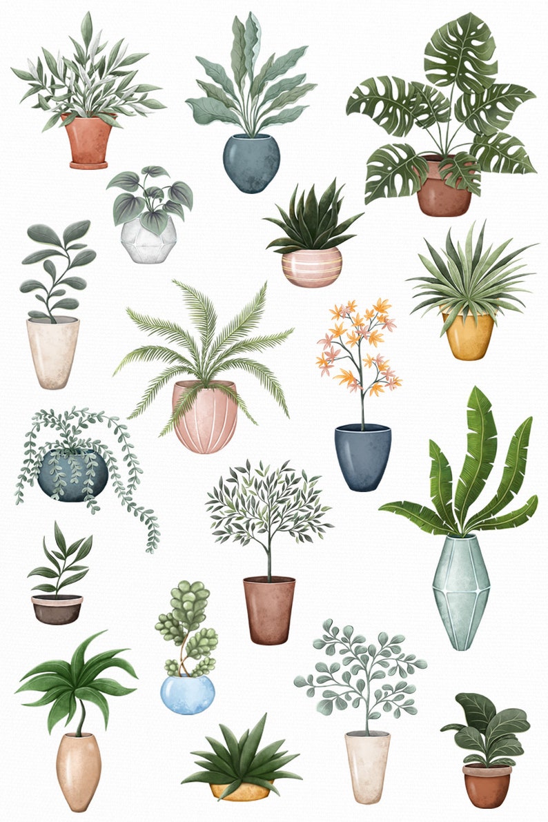 Potted Plants Clipart Flower Pot Clipart Rustic Garden | Etsy