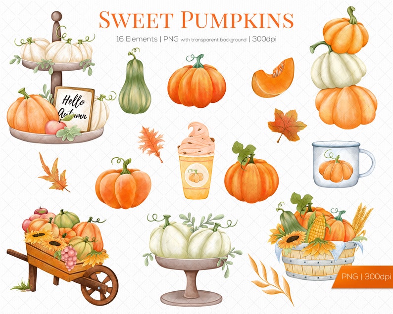 Pumpkin Clipart Fall Clipart Thanksgiving Day Clipart - Etsy
