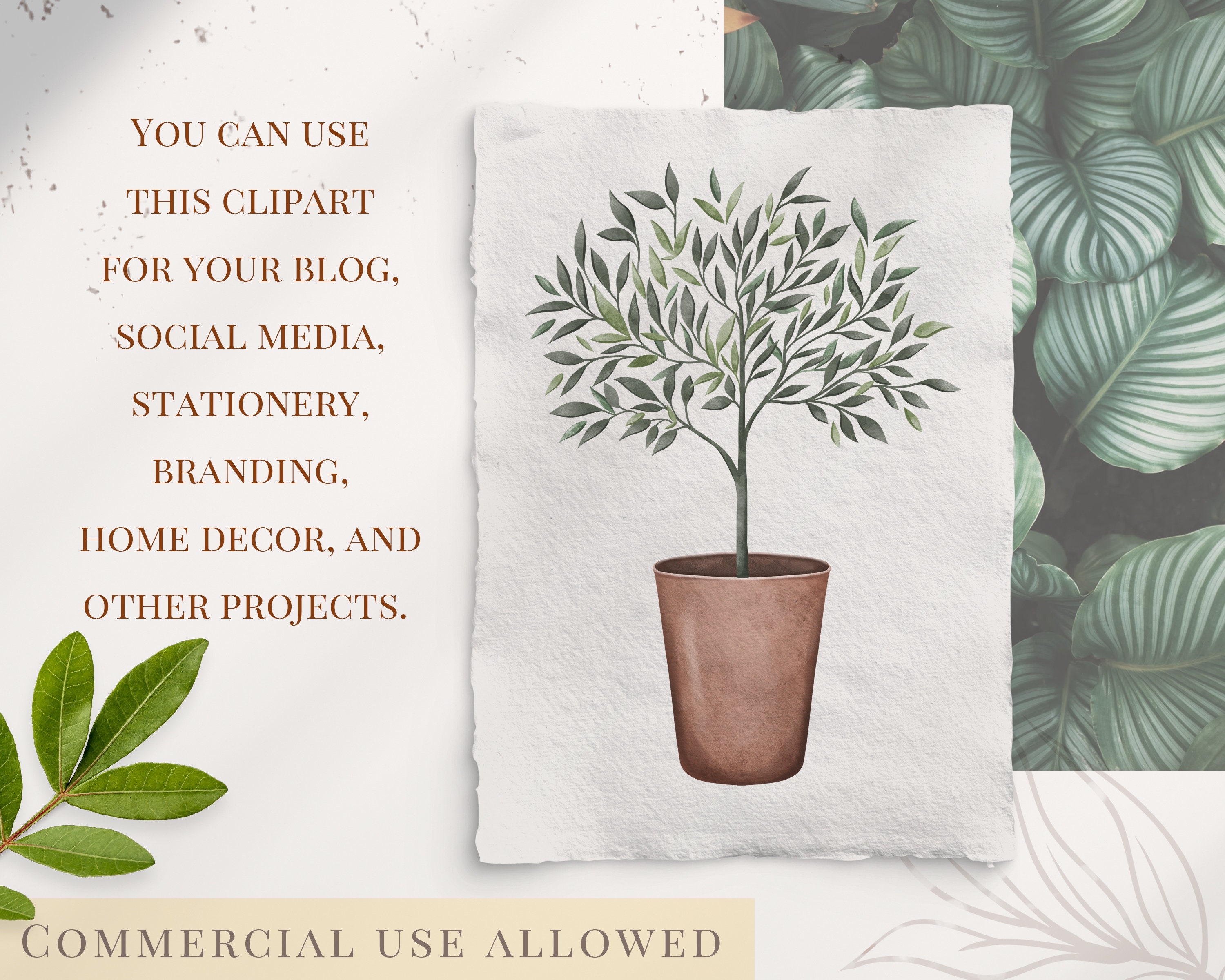 Potted Plants Clipart Flower Pot Clipart Rustic Garden | Etsy