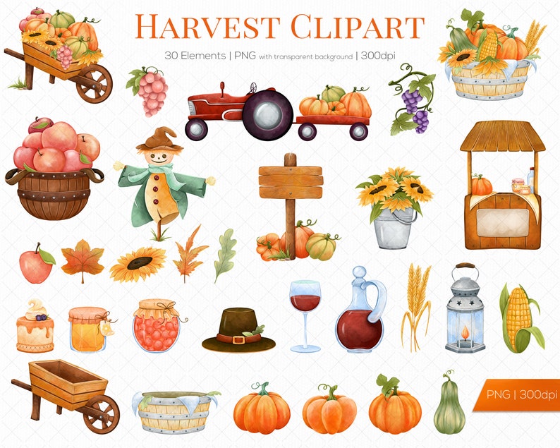 Fall Clipart Harvest Clipart Thanksgiving Clipart Png - Etsy