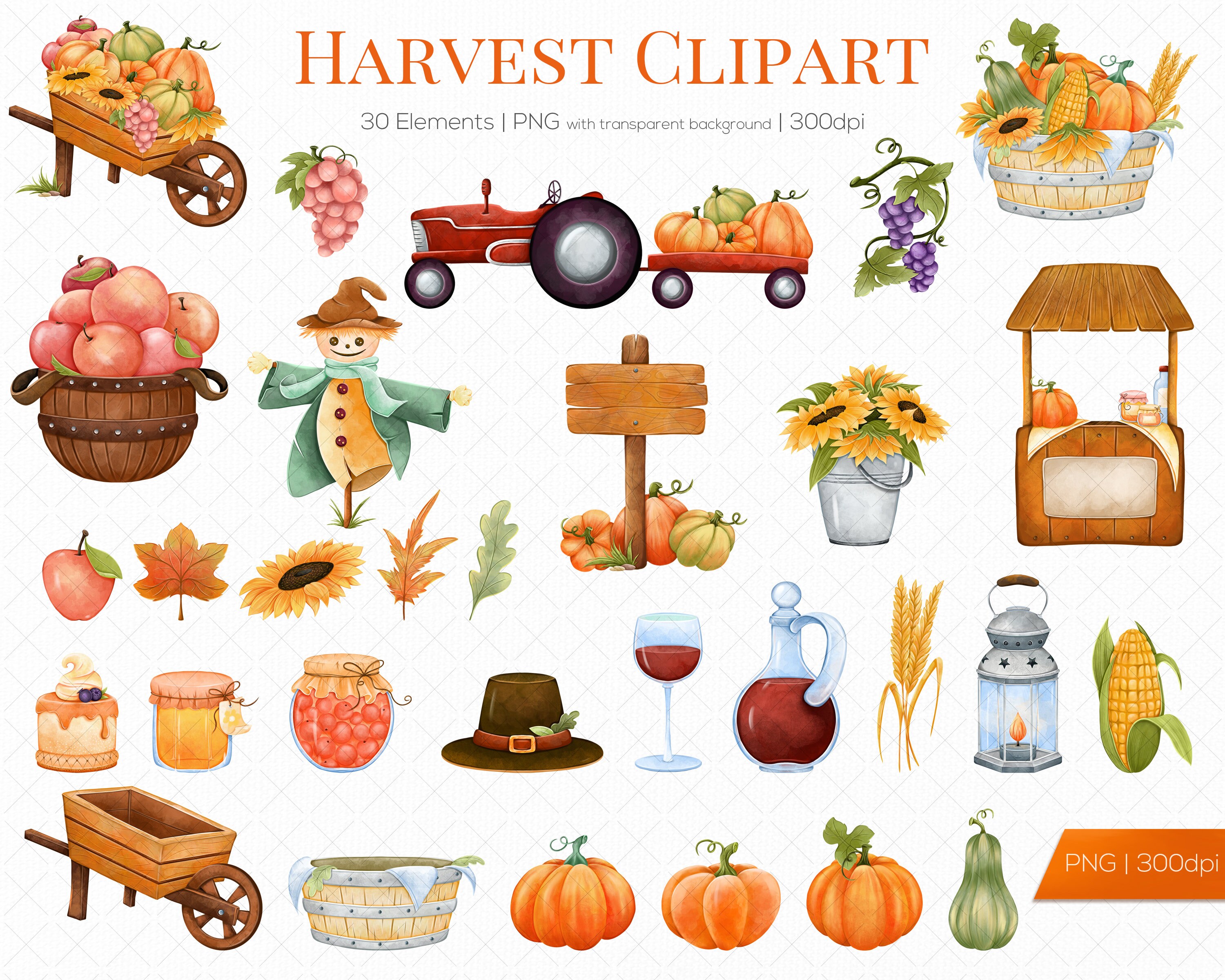 Fall Clipart Harvest Clipart Thanksgiving Clipart Png - Etsy