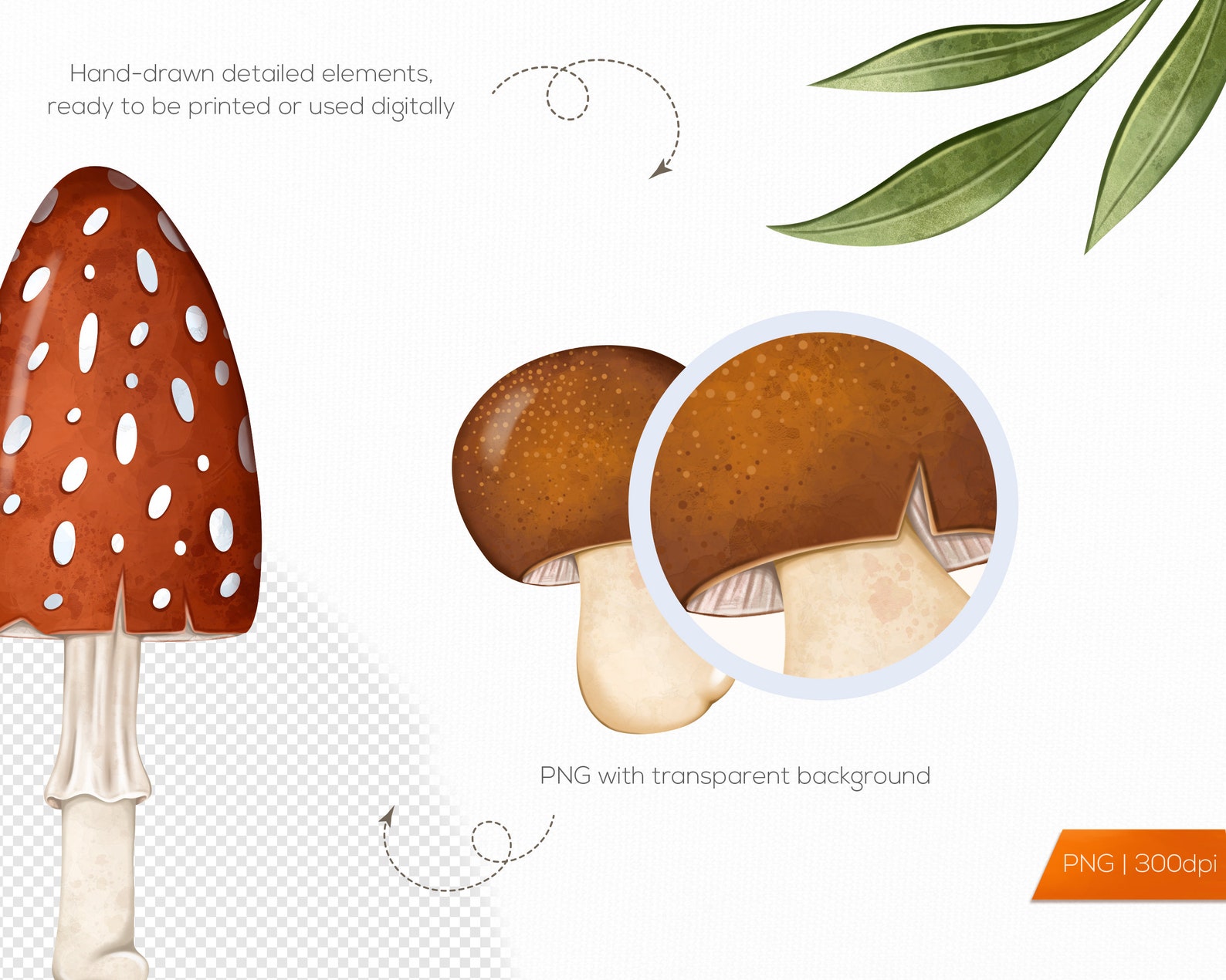 Mushroom Clipart Watercolor Fall Clipart Autumn Clipart - Etsy