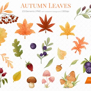 Autumn Leaves Clipart | Fall Leaves Clipart | Autumn Clipart | Cute ...