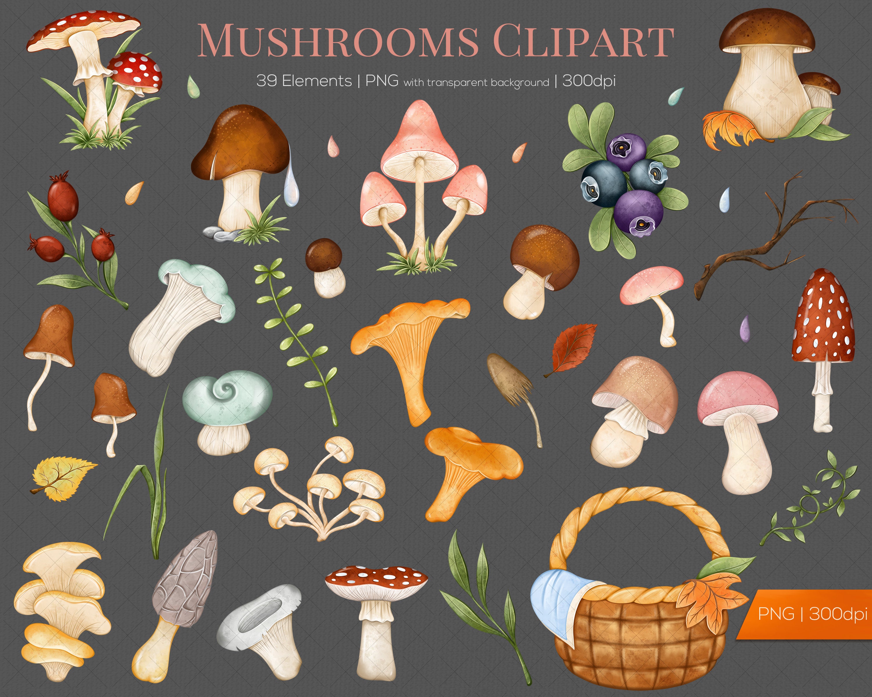 Mushroom Clipart Watercolor Fall Clipart Autumn Clipart - Etsy