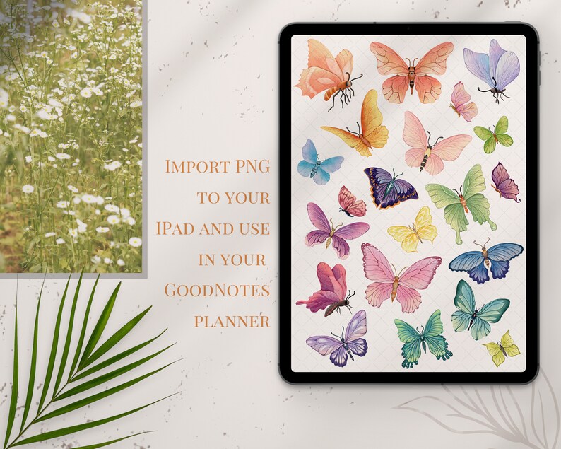 Butterfly Clipart Watercolor Butterfly Clip Art Hand | Etsy