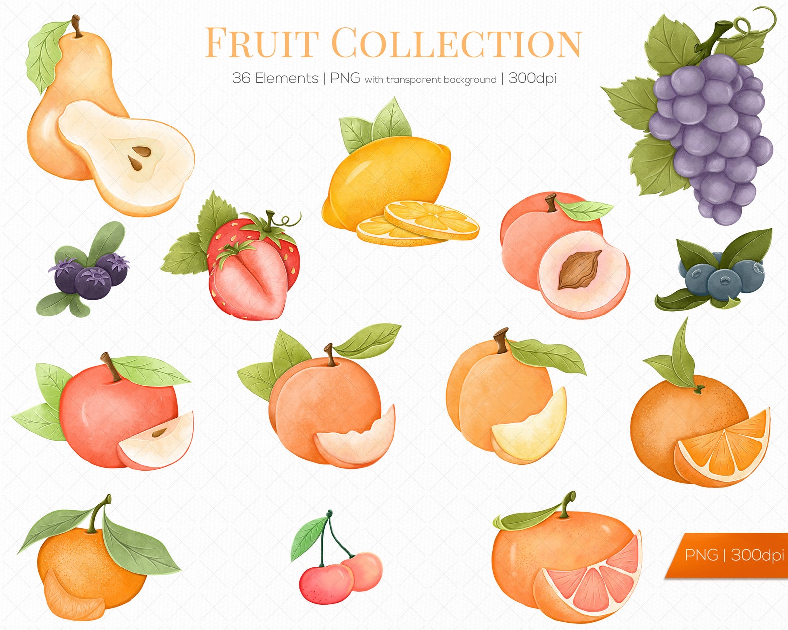 Fruit clipart bundle Summer clipart Healthy food clip art | Etsy