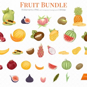 Exotic Fruit Clipart Bundle | Fruit Clipart Bundle | Tropical Clipart ...