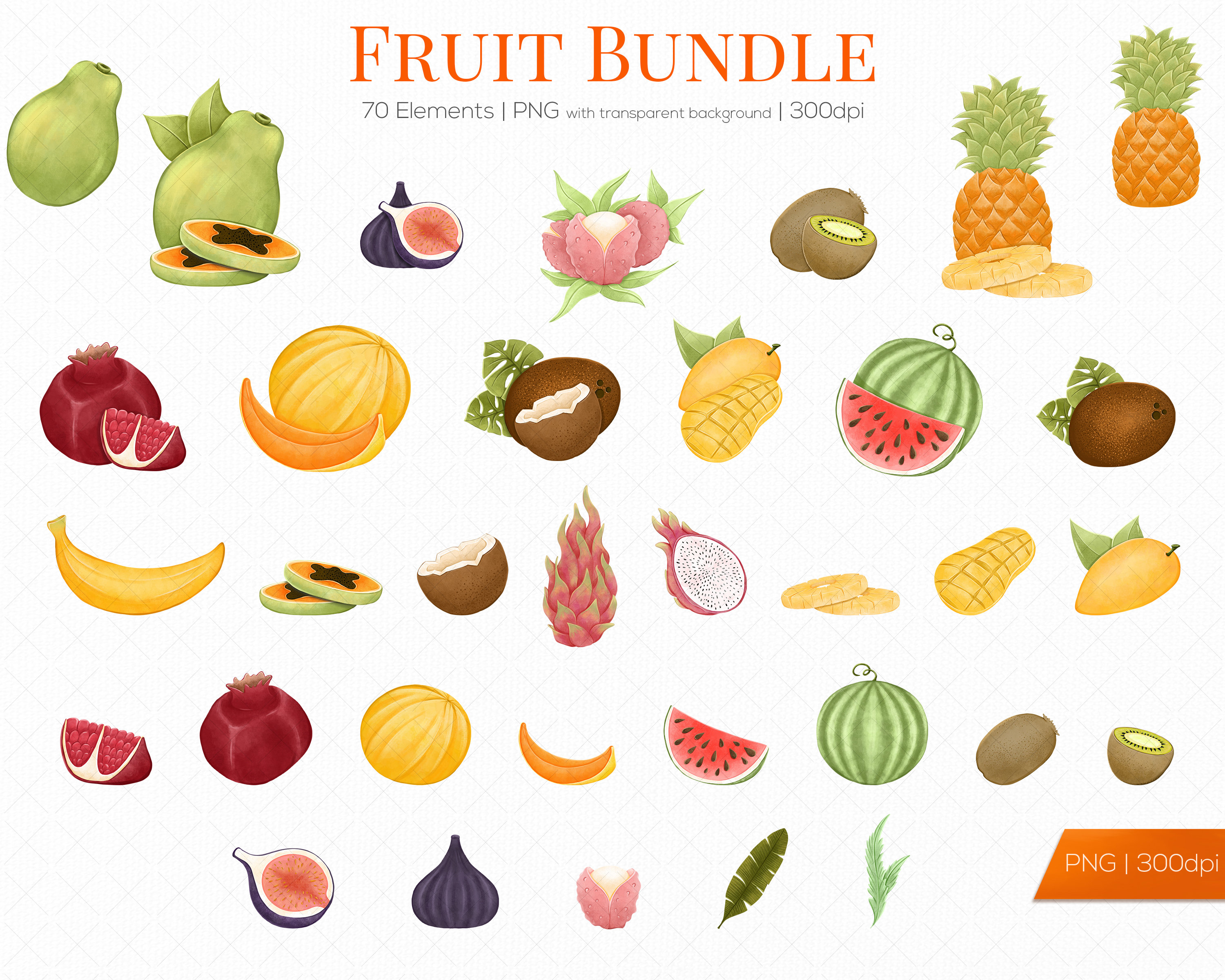 Exotic fruit clipart bundle Fruit clipart bundle Tropical | Etsy