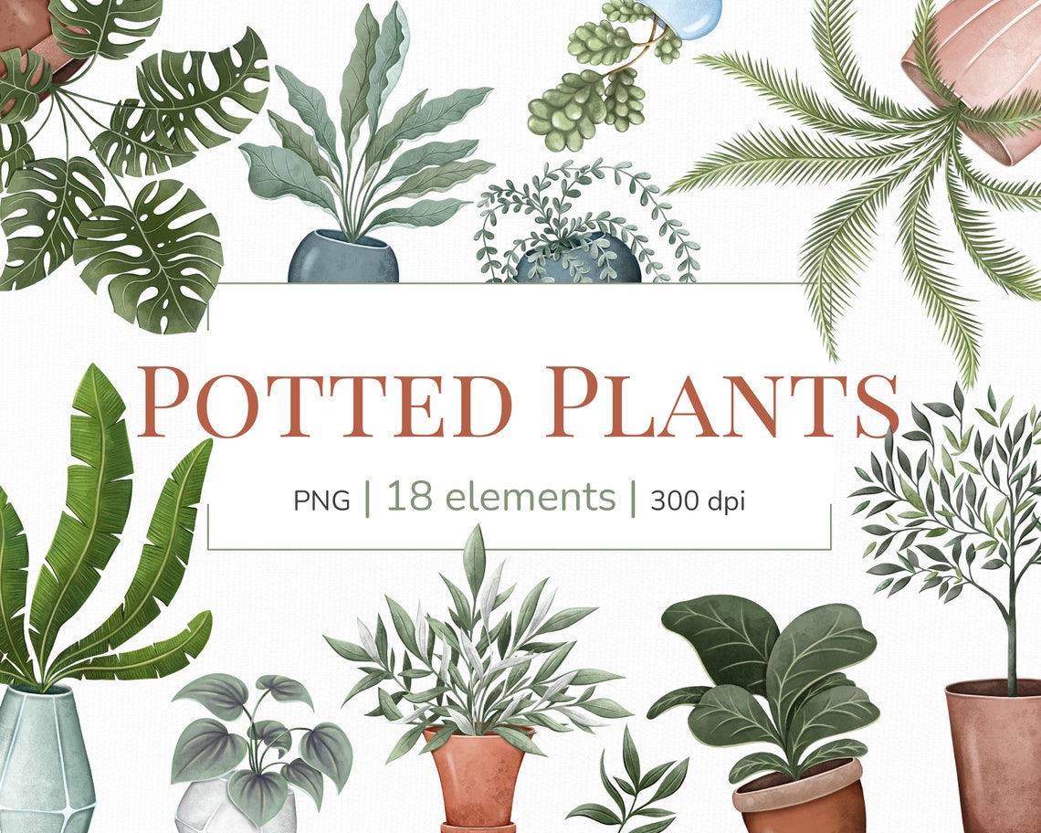 Potted Plants Clipart Flower Pot Clipart Rustic Garden | Etsy