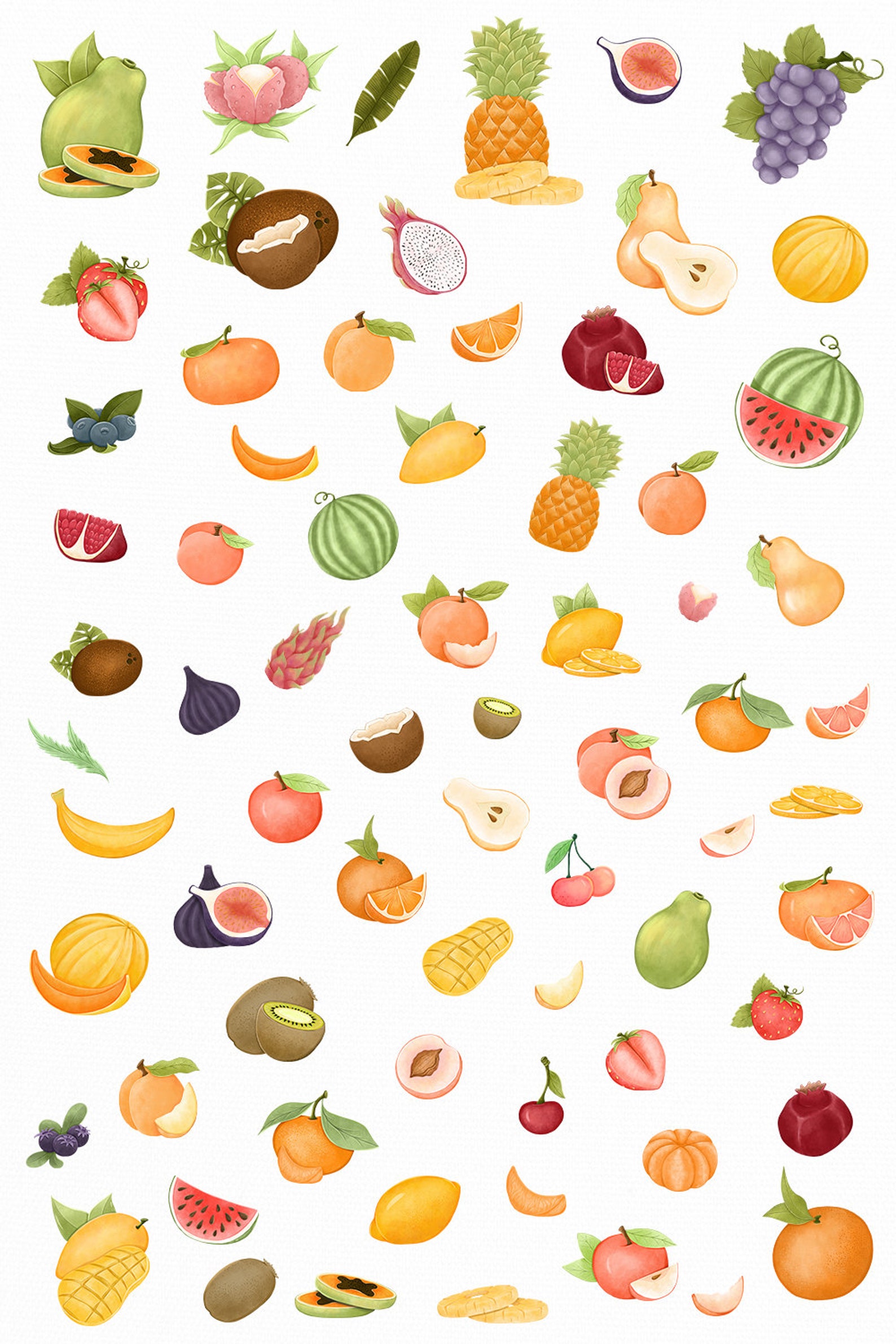 Exotic fruit clipart bundle Fruit clipart bundle Tropical | Etsy