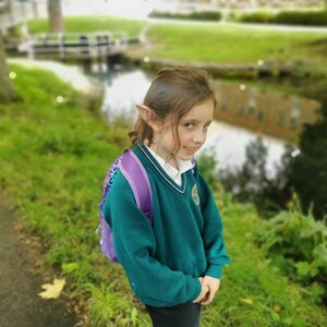 Elf Ears, Fairy, Hobbit, Cosplay, Halloween, Silicone, Vulcan, Zelda ...