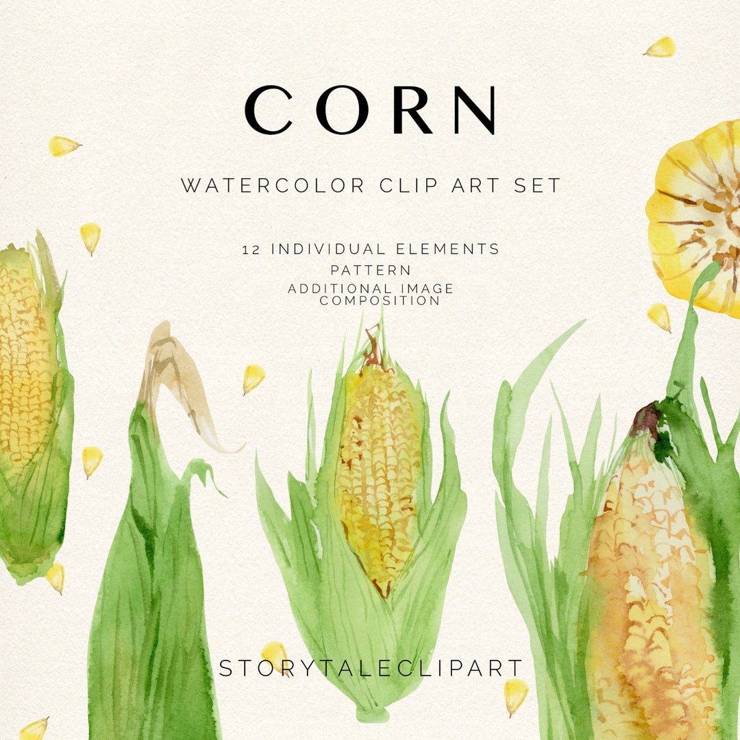 Hand Painted Watercolor Clipart Set corn. Watercolour Clip Art Design ...