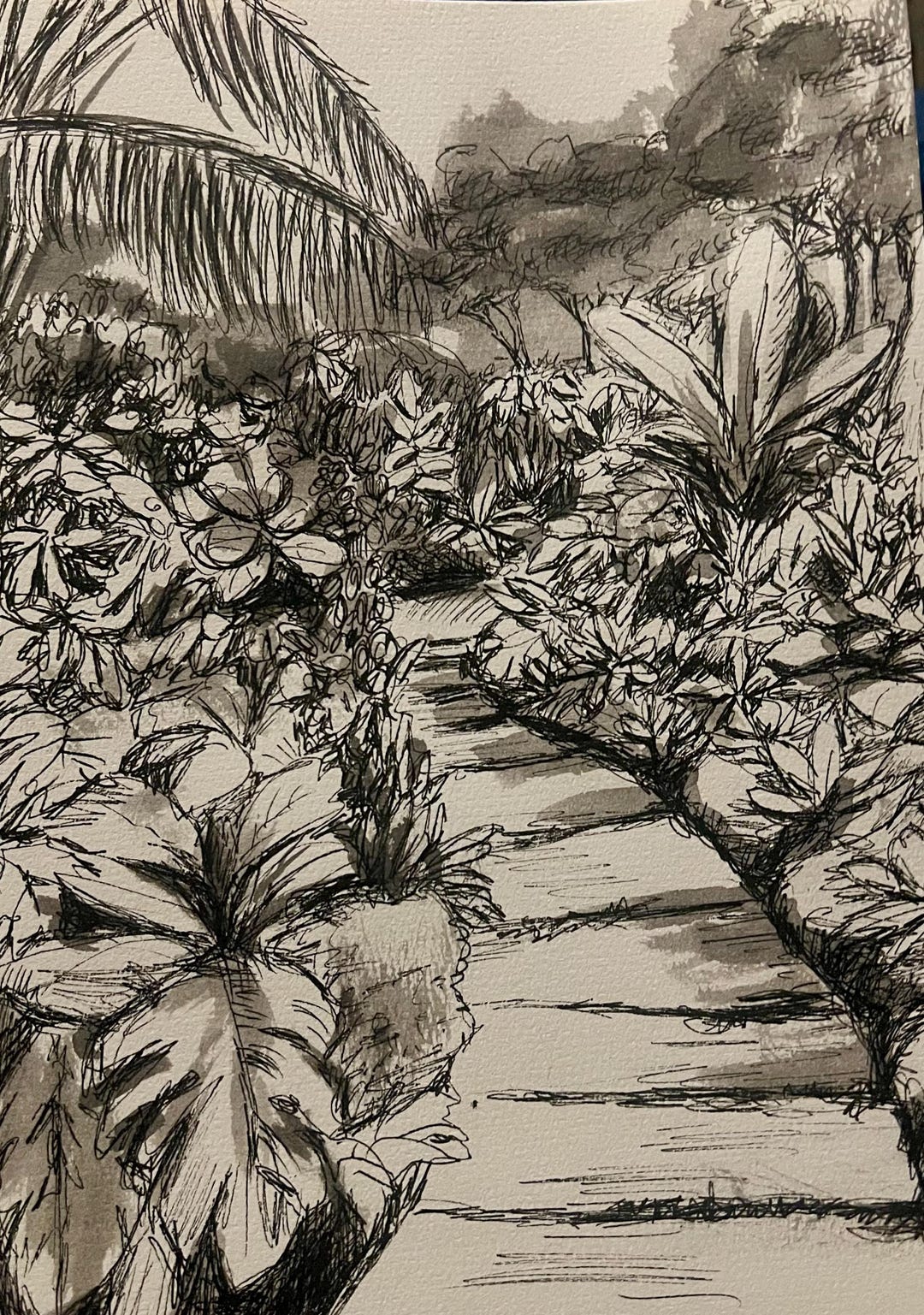 4. Exotic. Ink Drawing -- Made by Hand 2024 -- 8 1/2 X 11 1/2 - Etsy