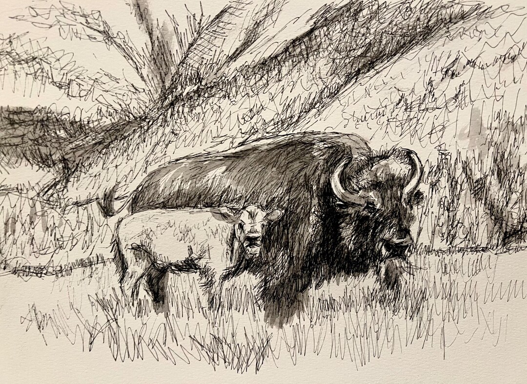 10. Nomadic. Ink Drawing -- Made by Hand 2024 -- 8 1/2 X 11 1/2 - Etsy