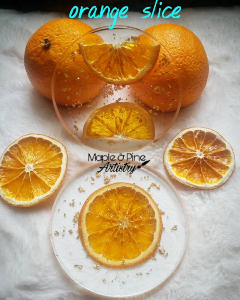 Fruit Slice Coasters /lemon Coaster/ Orange Coaster/lime - Etsy