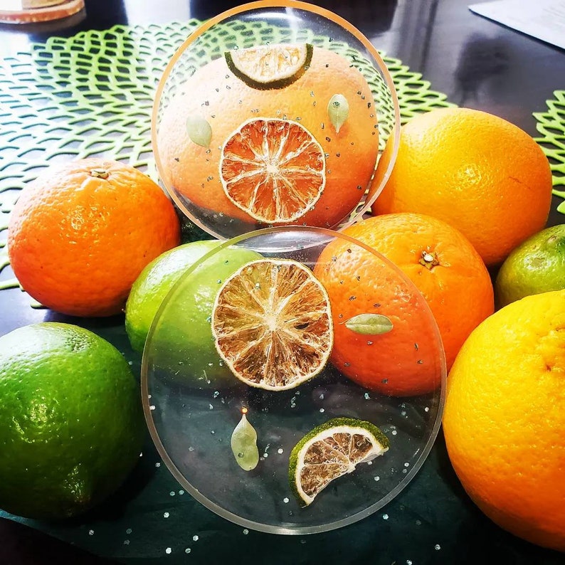 Fruit Slice Coasters /lemon Coaster/ Orange Coaster/lime - Etsy