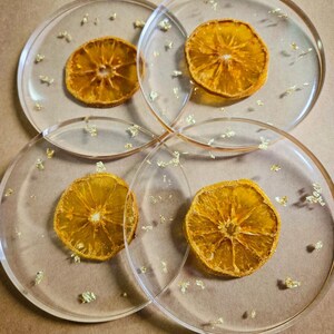 Fruit Slice Coasters /lemon Coaster/ Orange Coaster/lime Coaster - Etsy