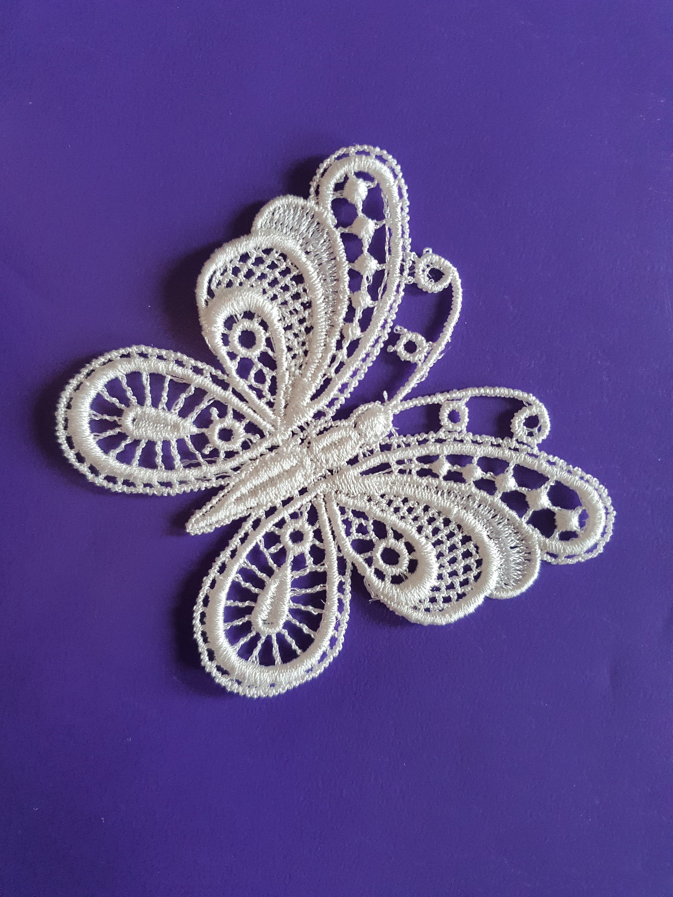 FSL Butterfly. Free Standing Lace. 3D Three-dimensional. Machine ...