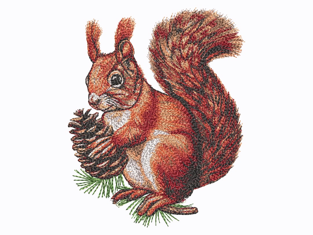 Realistic Squirrel on a Branch With a Cone. Machine Embroidery Designs ...