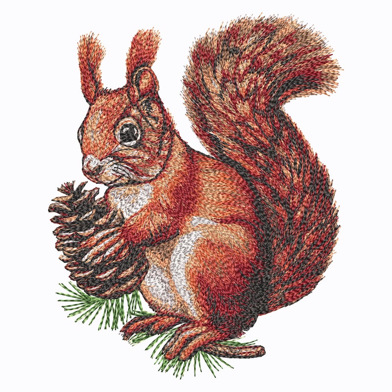 Squirrel Applique - Etsy