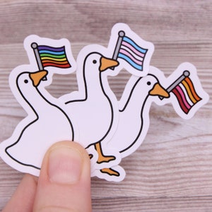 LGBT Sticker Goose Pride Flag // Lesbian, Gay, Transgender, Bisexual ...
