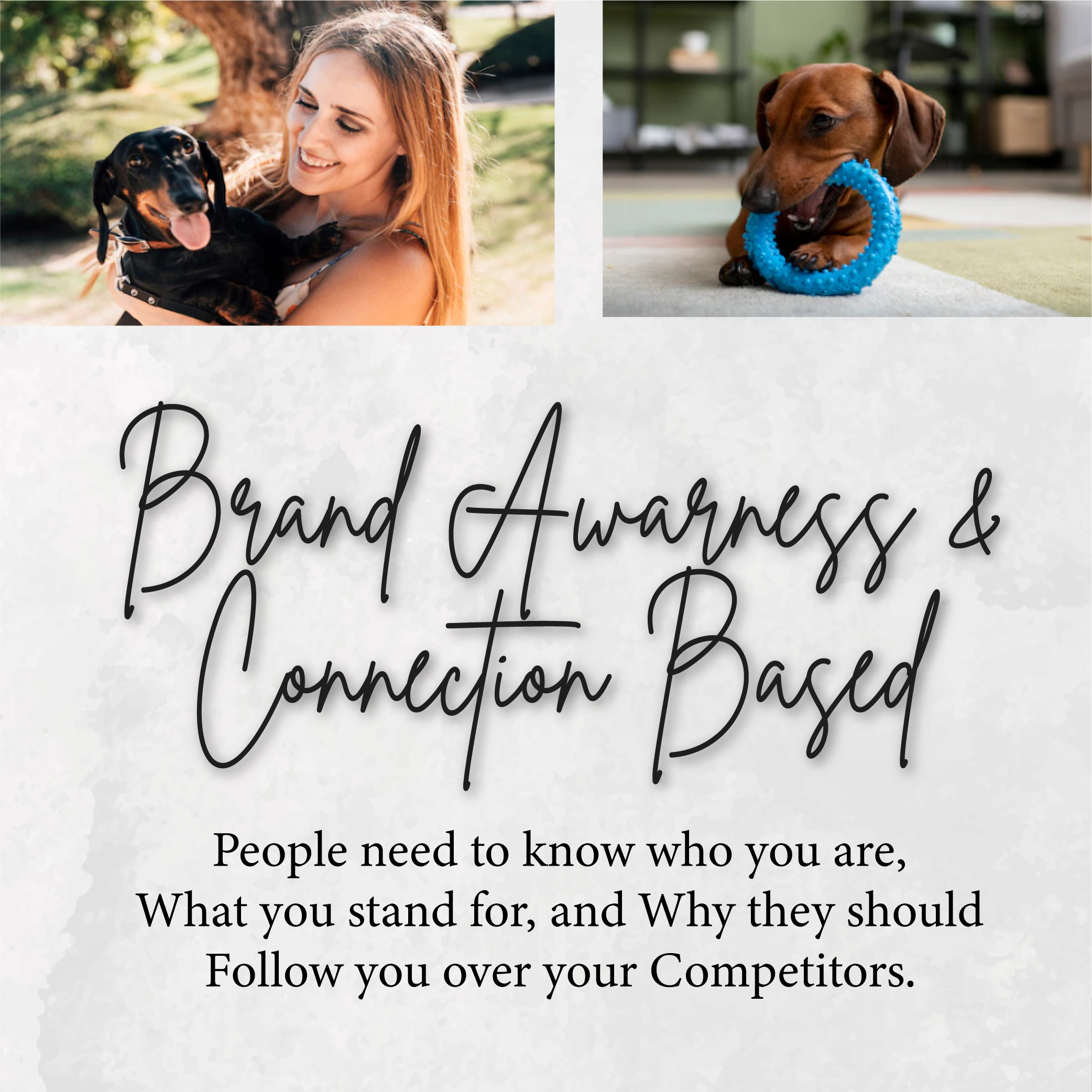 72 Dog Rescue Instagram Captions Animal Rescue Canva Templates Pet Love ...