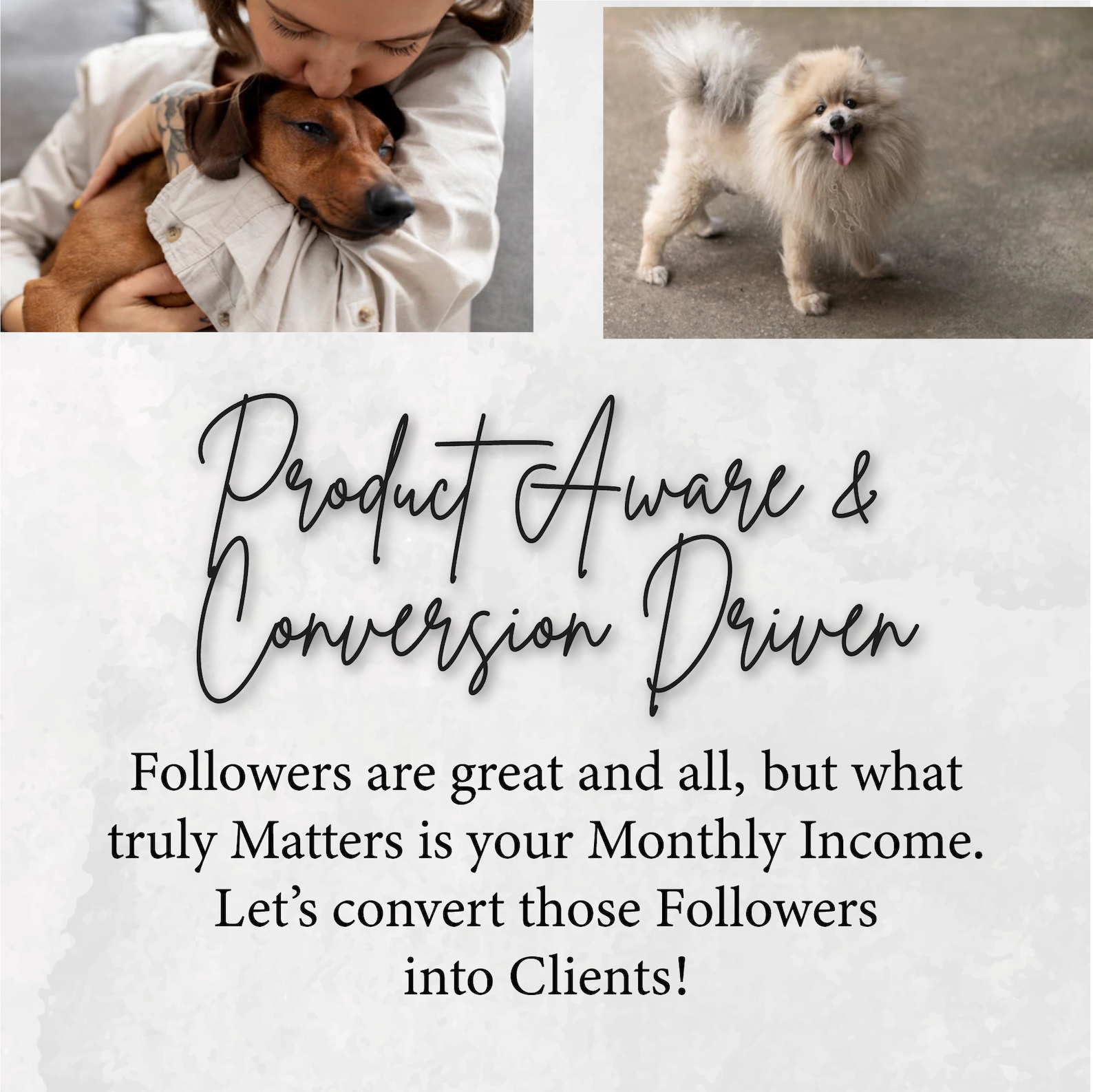 72 Dog Rescue Instagram Captions Animal Rescue Canva Templates Pet Love ...