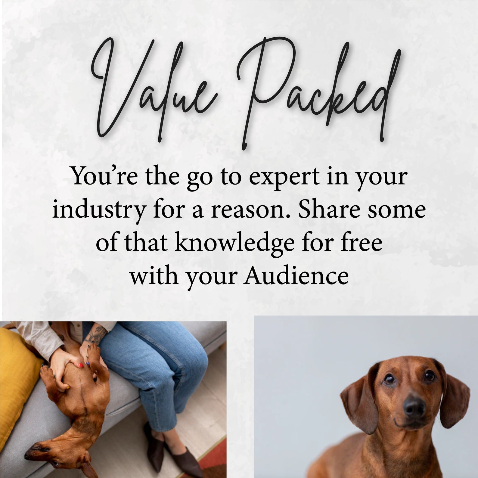 72 Dog Rescue Instagram Captions Animal Rescue Canva Templates Pet Love ...