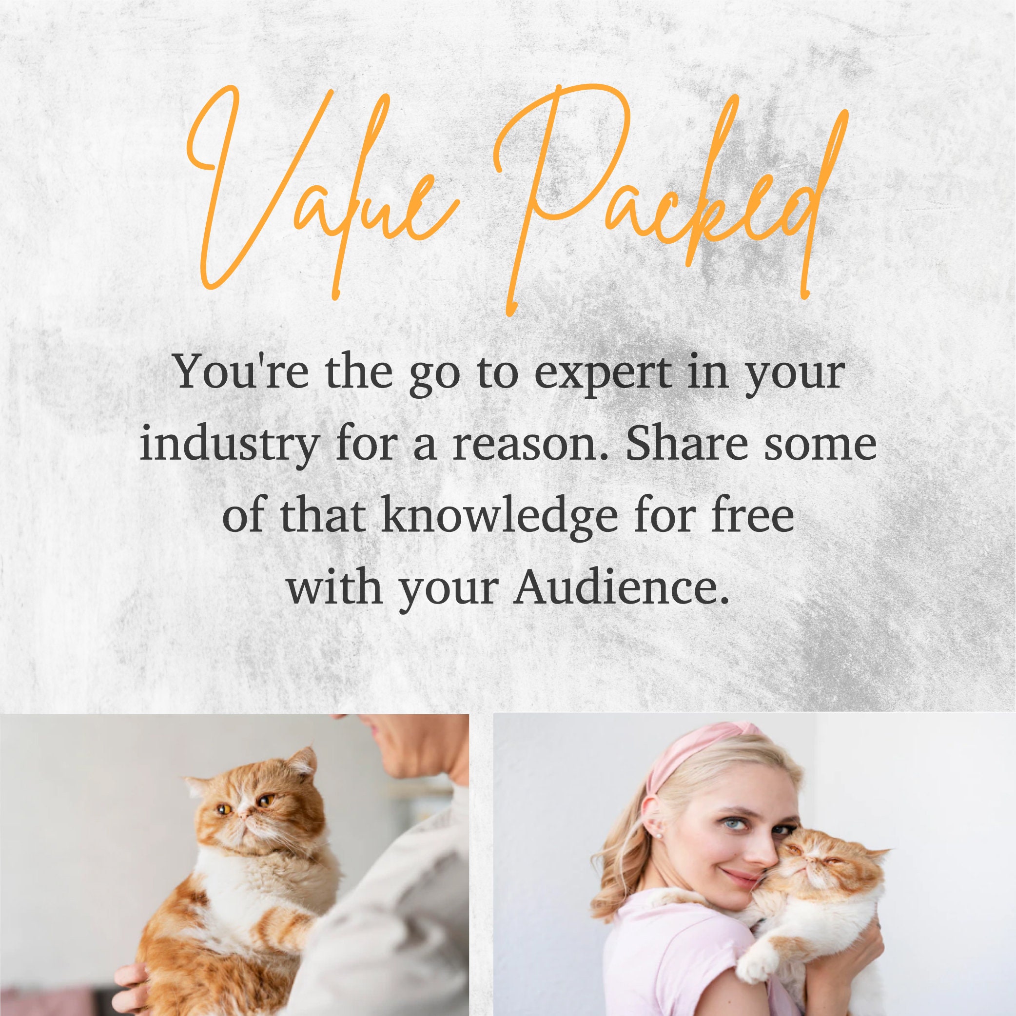 46 Cat Lady Instagram Captions Cat Lovers Pet Canva Templates Best Cat ...