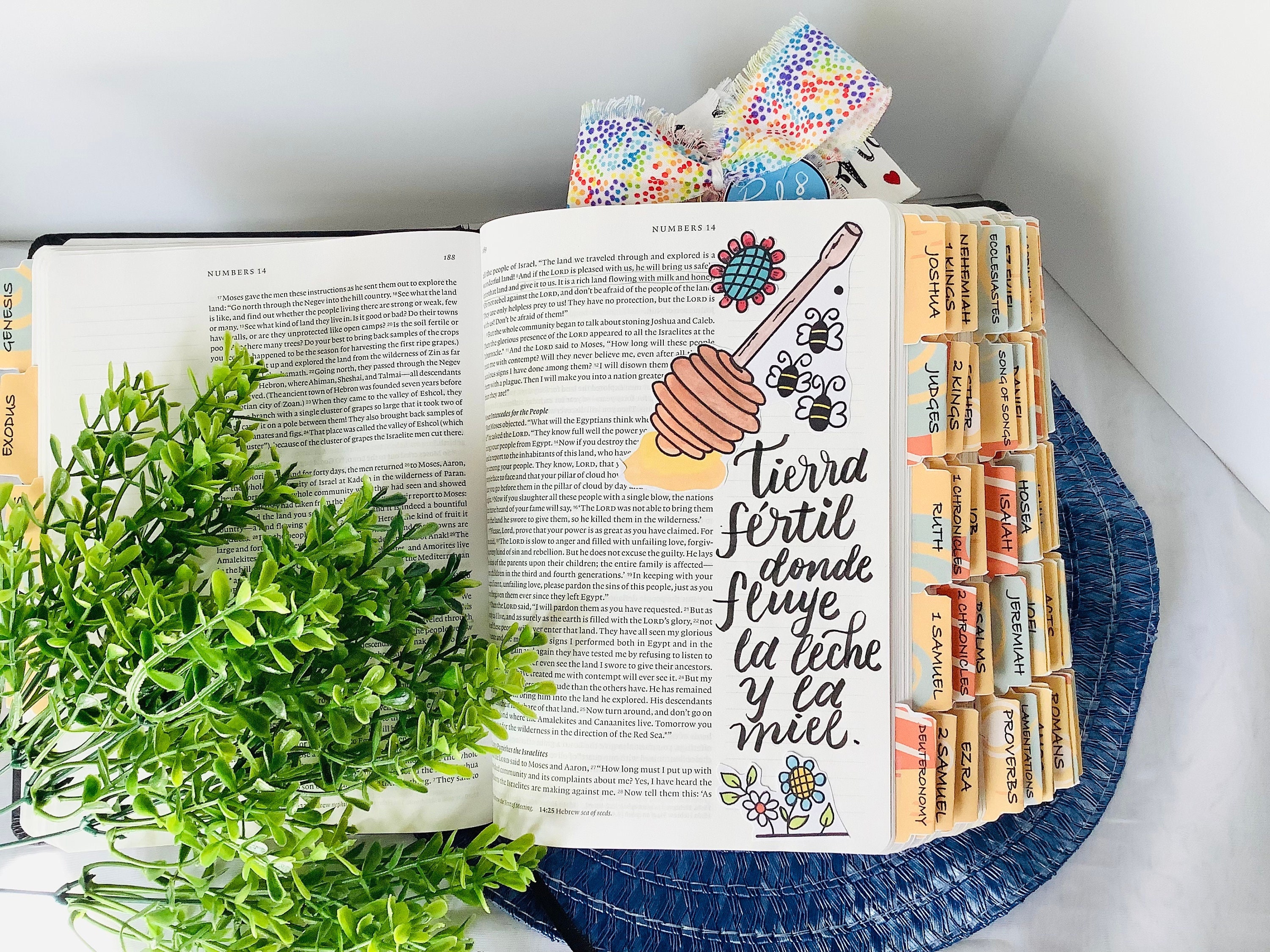 English Bible Index Tabs | Books Bible Tabs | Bible Dividers | Digital ...