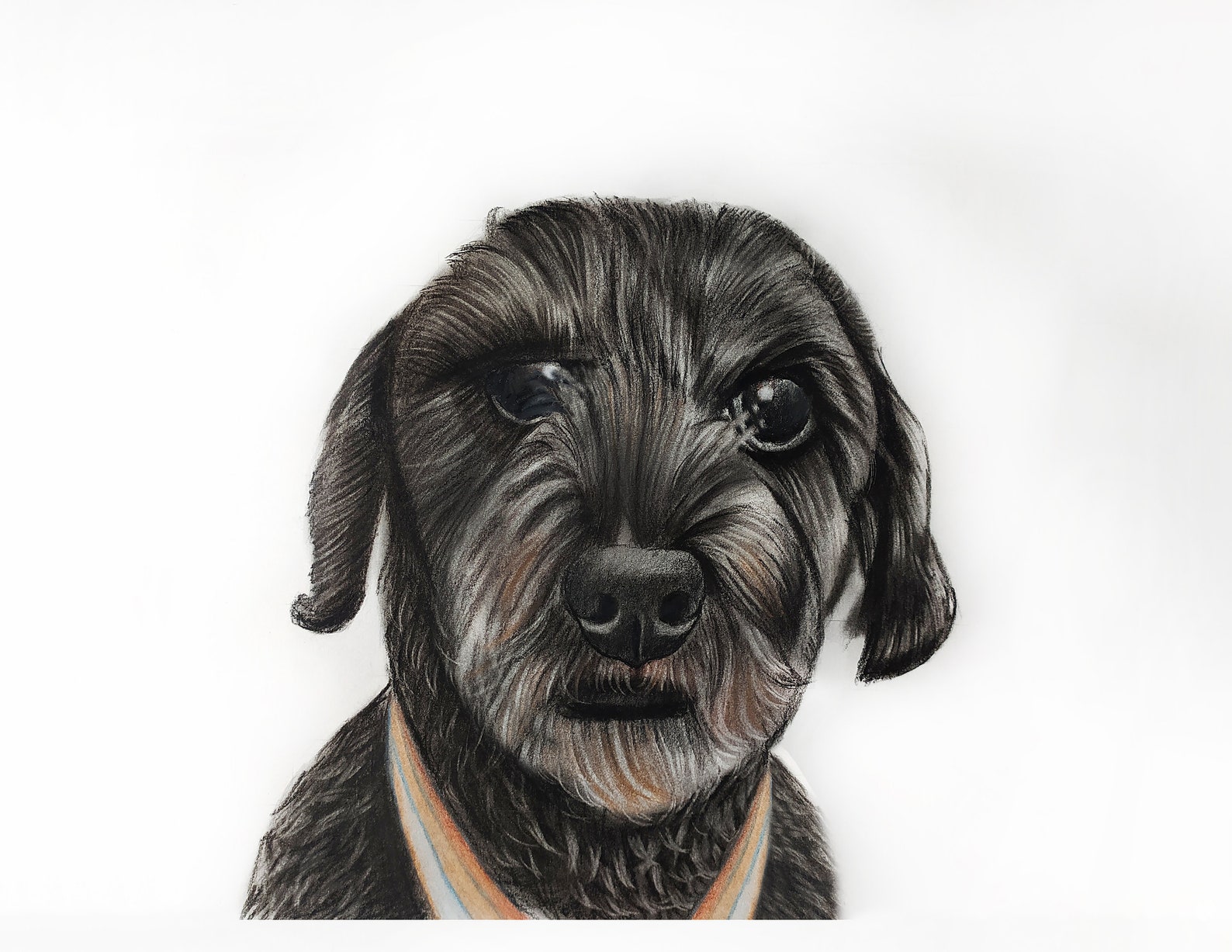 I Will Draw a Photo Realistic Pet Portrait Illustration - Etsy