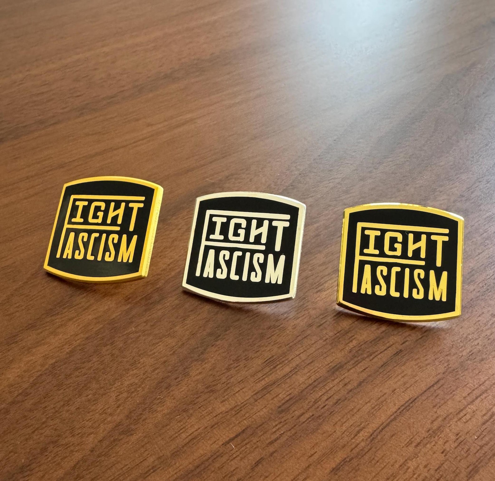 Fight Fascism Hard Enamel Pin, Anti Fascist, Protest Pins, Activism ...