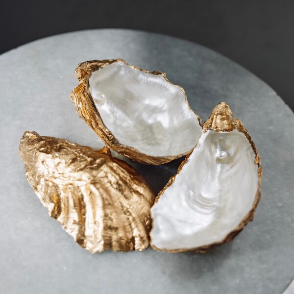 Silver Plate Shell - Etsy