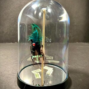 Burlesque Beetles Stripper Bug! - Etsy
