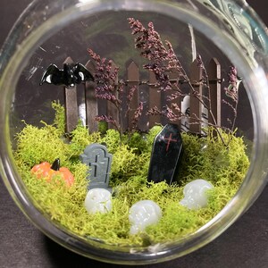 Cemeterium Tiny Mini Cemetery That Glows in the Dark!! - Etsy