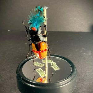 Burlesque Beetles Stripper Bug! - Etsy