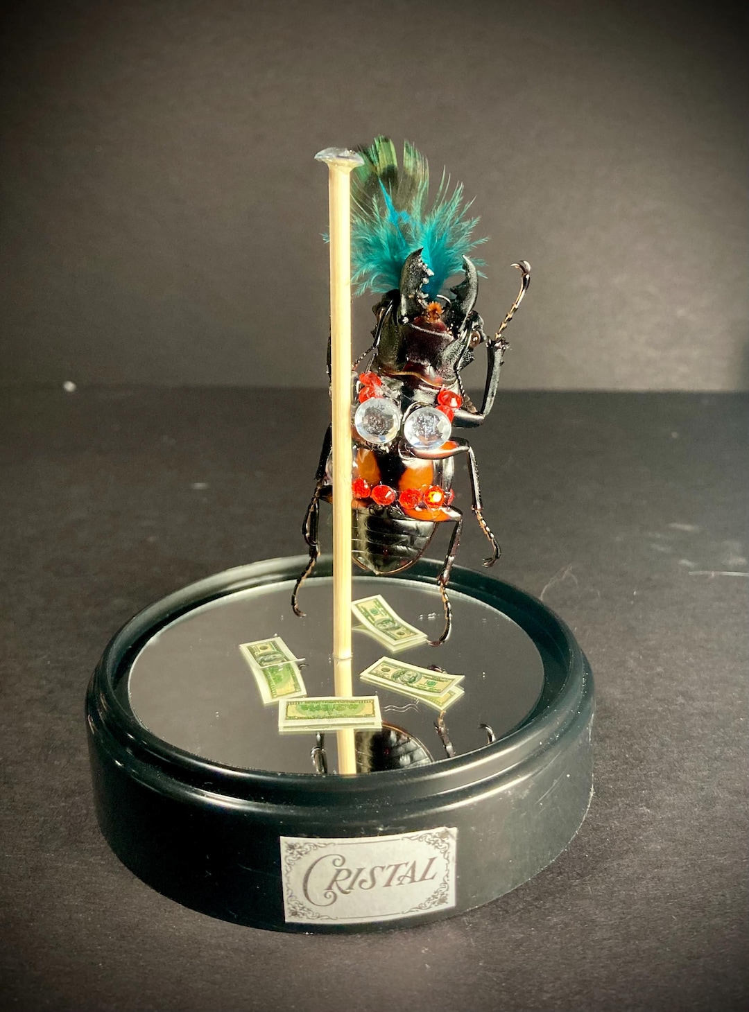 Burlesque Beetles Stripper Bug! - Etsy