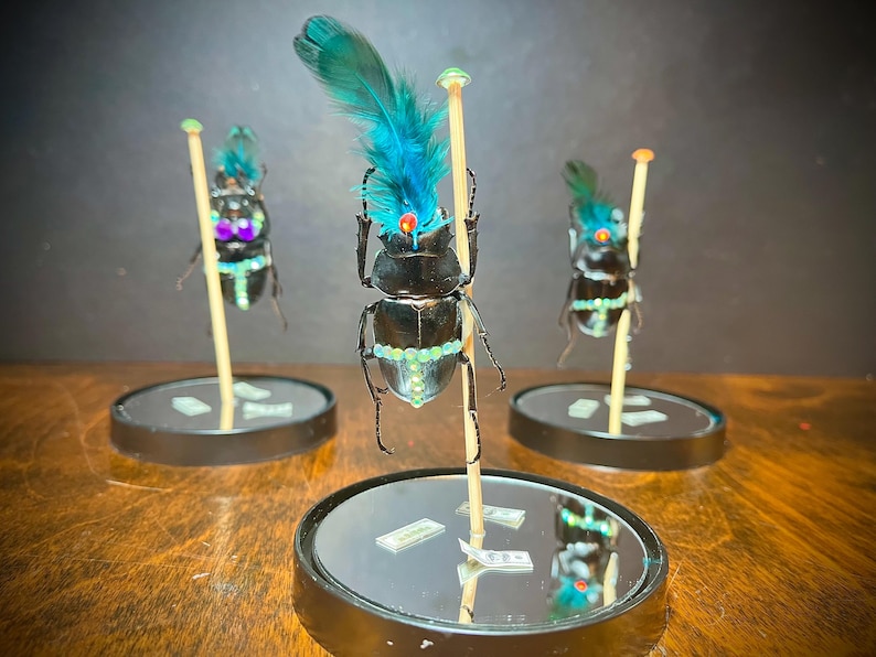 Burlesque Beetles Stripper Bug! - Etsy