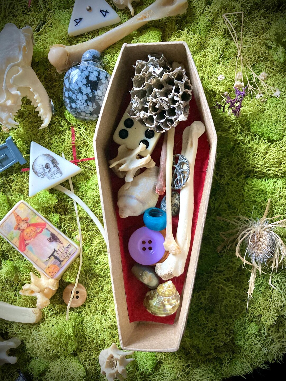 Bone Throwing Casting Divination Osteomancy Kit Coffin Box (14-18 ...