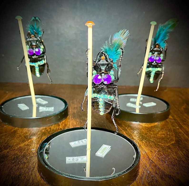 Burlesque Beetles Stripper Bug! - Etsy