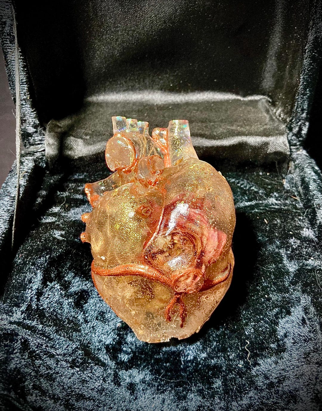 Anatomical Heart Cast With Real Flowers Displayed in Funeral Urn Case ...
