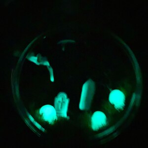 Cemeterium Tiny Mini Cemetery That Glows in the Dark!! - Etsy