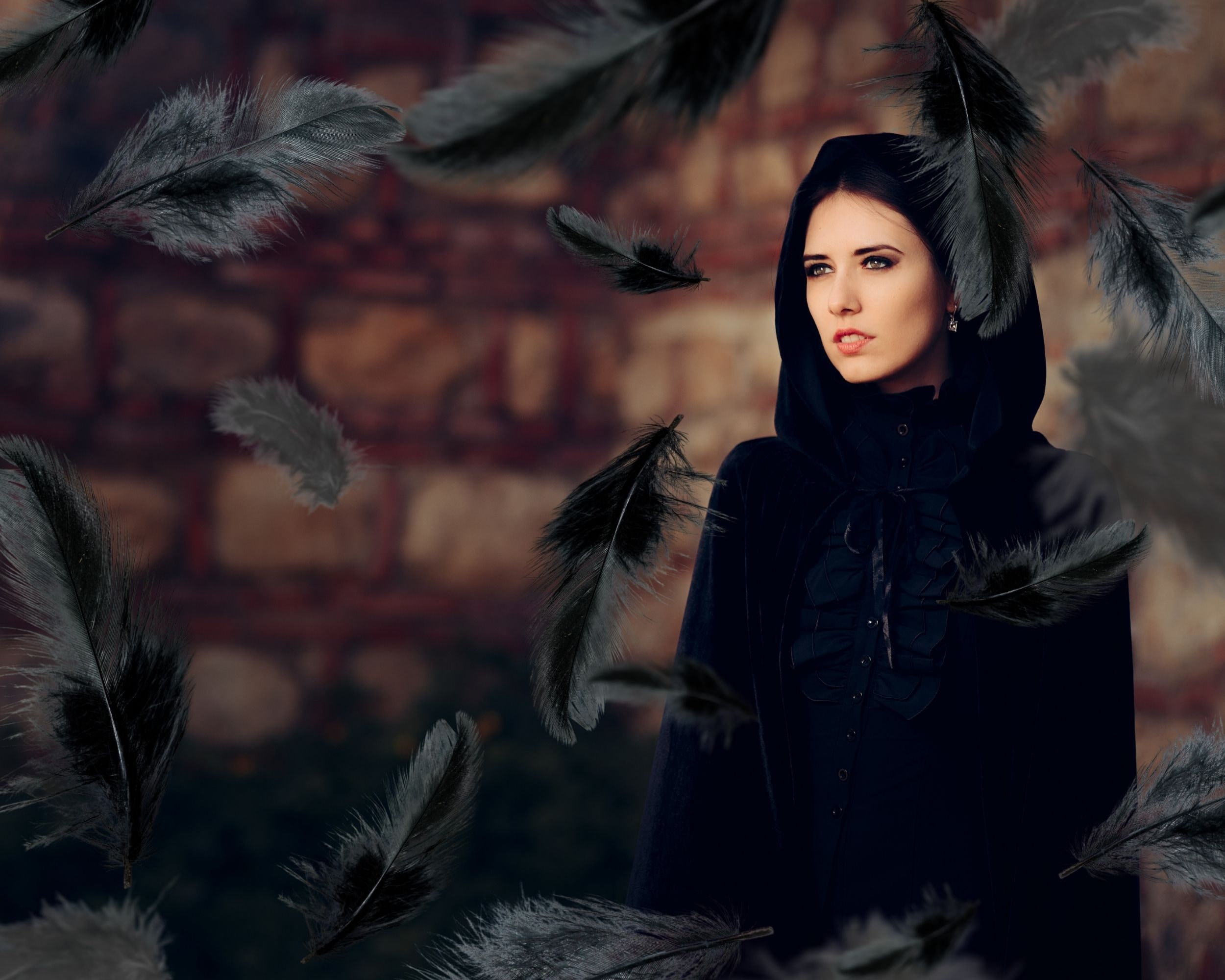 Falling Feathers Overlay Bundle Feather Overlay Black - Etsy