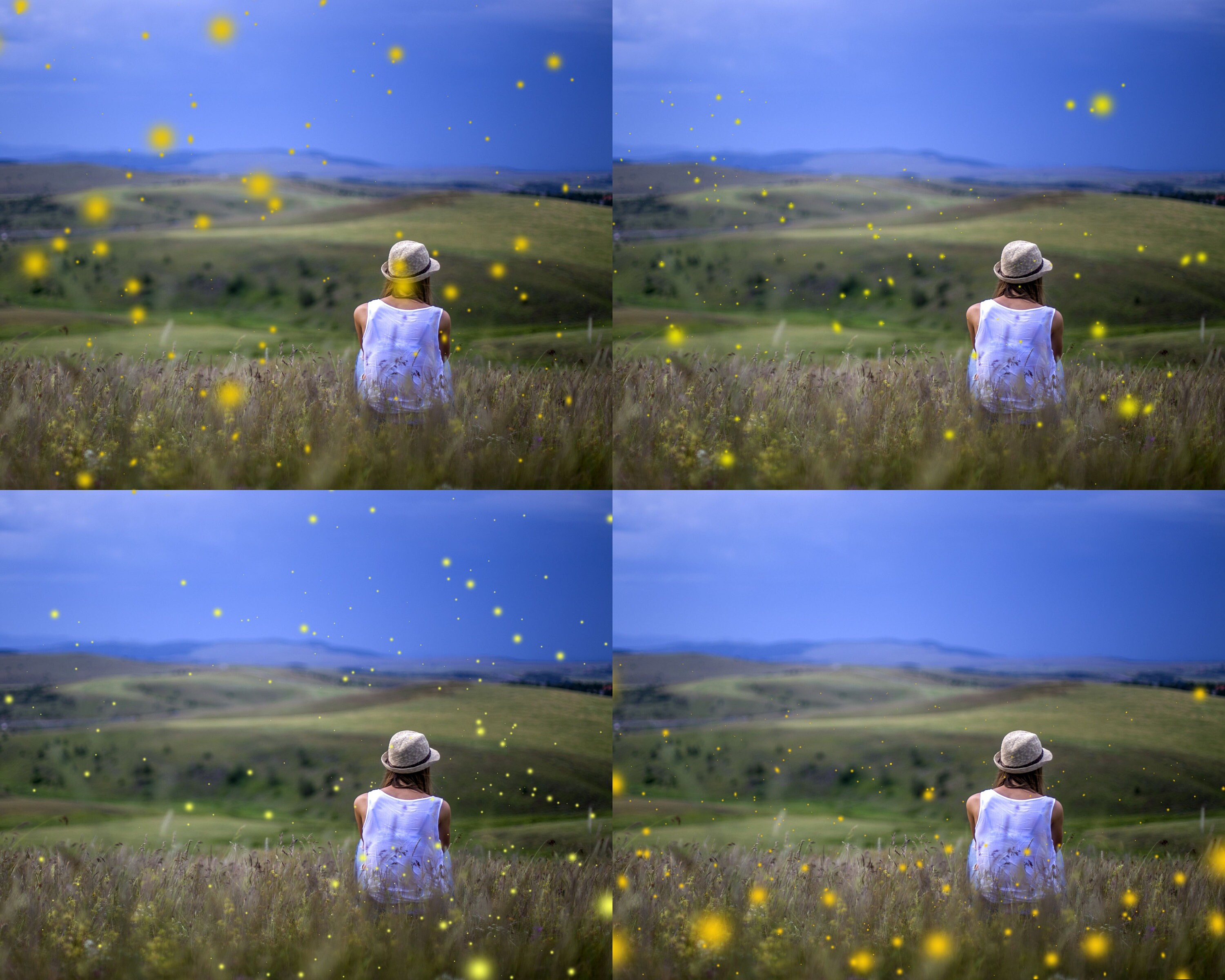 Firefly Overlays, Adobe Photoshop Overlays, Fire Fly Light Overlay ...